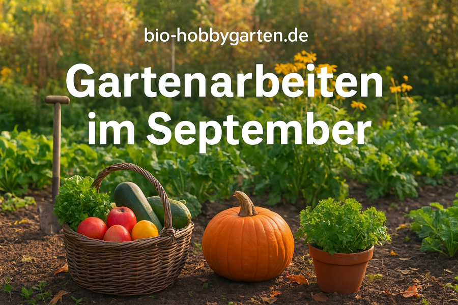 Gartenarbeiten im September – Ernte & Pflanzzeit